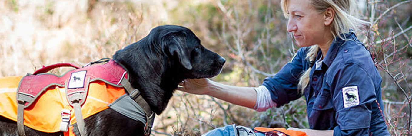 Conservation Canines: Rescue Dogs Protect Endangered Species | Zuke's